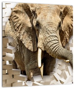 Obraz - Slon prorážející zeď (30x30 cm)