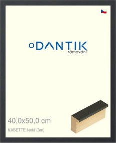 DANTIK rámeček 40x50 | KASSETTE šedá (Plexi Čiré)