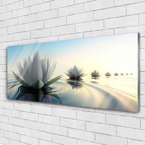 Plexisklo-obraz Vodní Lilie Květiny Rybník 125x50 cm