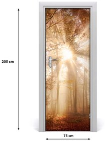 Fototapeta na dveře samolepící les podzim 75x205 cm
