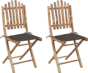 vidaXL Skládací zahradní židle s poduškami 2 ks bambus [3063997] Barva: taupe