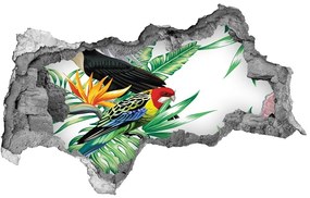 Wallmuralia Díra 3D fototapeta nástěnná Tropy ptáci 95x73 cm