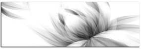Obraz na plátně - Elegantní květ - panoráma 5147QA (105x35 cm)