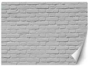 Fototapeta, Bílá cihlová kamenná zeď - 450x315 cm