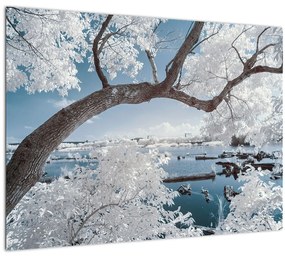 Skleněný obraz zasněženého stromu u vody (70x50 cm)