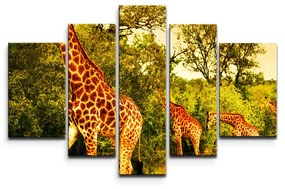 Sablio Obraz - 5-dílný Žirafy - 125x90 cm