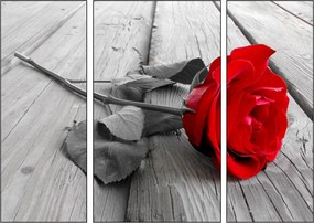 Obraz třídílný 100 x 50 cm červená růže