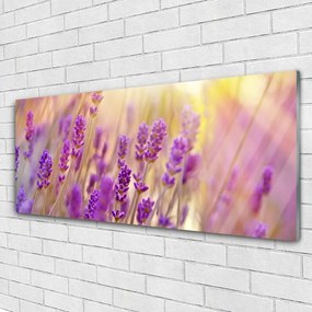 Plexisklo-obraz Květiny Rostlina Příroda 125x50 cm
