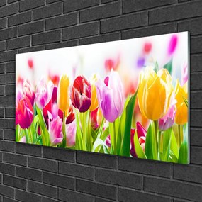 Obraz na skle Tulipány Květiny 140x70 cm