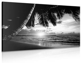 Obraz východ slunce na karibské pláži v černobílém provedení - 60x40 cm