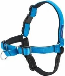 PetSafe EasyWalk Deluxe postroj modrá - velikost S