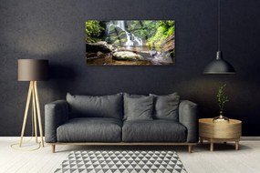 Plexisklo-obraz Vodopád Kameny Les Příroda 100x50 cm