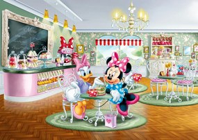 Dětská fototapeta na zed' Minnie a Daisy, Disney | 255 x 180 cm | DFTDs 1926