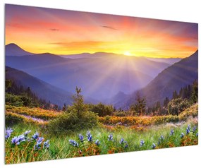 Obraz lesní krajiny (120x80 cm)