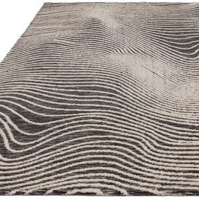 Tribeca Design Kusový koberec Arone Magnitude Black Rozměry: 200x290 cm