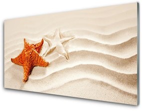 Obraz na skle Hvězdice na Písku Pláž 140x70 cm