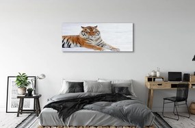 akrylový obraz Tiger winter 120x60 cm