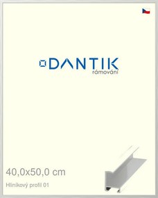 DANTIK rámeček 40x50 | ALU profil 6001 Stříbrná lesklá (Plexi Čiré)