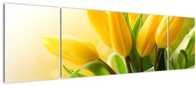 Obraz - Žluté tulipány (170x50 cm)