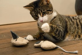 Beeztees ECO Hračka pro kočky slon Do