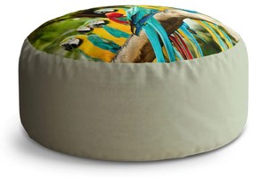 Sablio Taburet Circle Papoušci na větvi: 40x50 cm