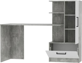 Počítačový stůl Standard, industriál / nymfea alba, pravá montáž