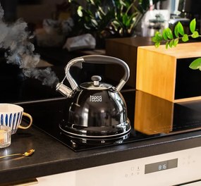 Nerezová konvice s píšťalkou 3L TEESA TSA0152, černá