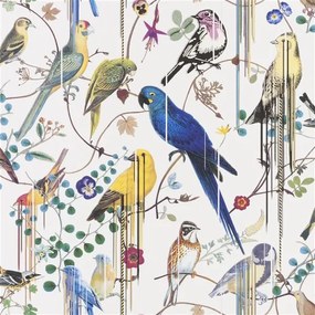 Tapeta BIRDS SINFONIA - PERCE NEIGE, kolekce HISTOIRES NATURELLES