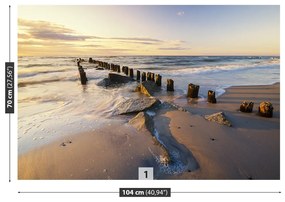 Fototapeta Pláž, moře 104x70