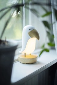 STAR TRADING Dětská LED lampička Toucan, bílá barva, přírodní barva, dřevo, plast