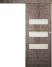 posuvné interiérové dveře na stěnu vasco doors SANTIAGO model 6 Průchozí rozměr: 70 x 197 cm, Orientace dveří: Levé dveře, Dekor: Dub šedý