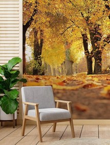 Gario Fototapeta Zlatý lak podzim Materiál: Vliesová, Rozměry: 150 x 210 cm