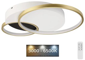 Stmívatelné stropní svítidlo BENITO LED/31W/230V 3000-6500K bílá/zlatá