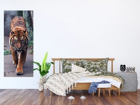 Vliesová fototapeta na zed' Tygr | 202 x 90 cm | DFTNV2800