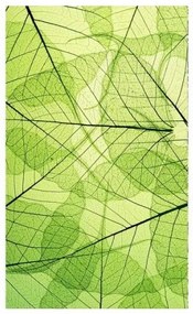 DIMEX | Vliesová fototapeta na zeď Žilky listů MS-2-0111  | 150 x 250 cm | zelená