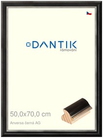 DANTIK rámeček 50x70 | ANIVERSA černá AG (Plexi Čiré)