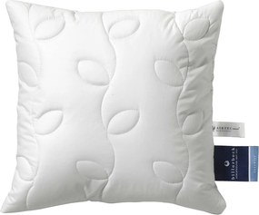 XXXLutz POLŠTÁŘ POD HLAVU, 40/40 cm Billerbeck - Polštáře pod hlavu - 003279086202