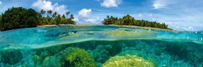 Dvoudílná vliesová fototapeta Korálový útes, rozměr 375x150cm, MP-2-0200