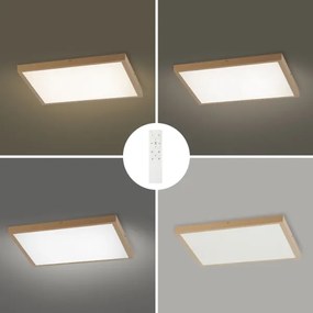 Brilagi -LED Stmív. koupelnové svítidlo FRAME SMART LED/50W/230V 60x60 IP44 + DO