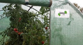 Bestent Zahradní fóliovník 2,5x4m s UV filtrem PROFI Garden