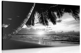 Obraz východ slunce na karibské pláži v černobílém provedení - 90x60 cm