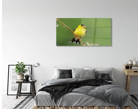 akrylový obraz žlutý papoušek 125x50 cm