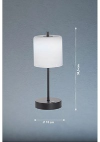 Černobílá LED stmívatelná stolní lampa (výška 34,5 cm) Riva – Fischer &amp; Honsel