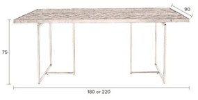 Jídelní stůl s ocelovou konstrukcí Dutchbone Class, 220 x 90 cm