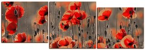 Obraz na plátně - Krásné divoké máky - panoráma 597FD (150x50 cm)