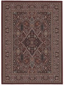 Koberce Breno Kusový koberec CLASSICO/PALACIO 34/C78R, Hnědá, Vícebarevné, 200 x 285 cm