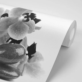 Samolepící fototapeta černobílé kameny a orchidej
