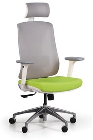 Kancelářská židle se síťovaným opěrákem ENVY, zelená