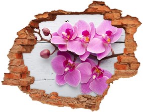 Wallmuralia Samolepící nálepka Orchidej na stromě 90x70 cm