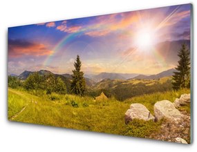 Obraz na skle Hory Louka Kameny Příroda 100x50 cm
